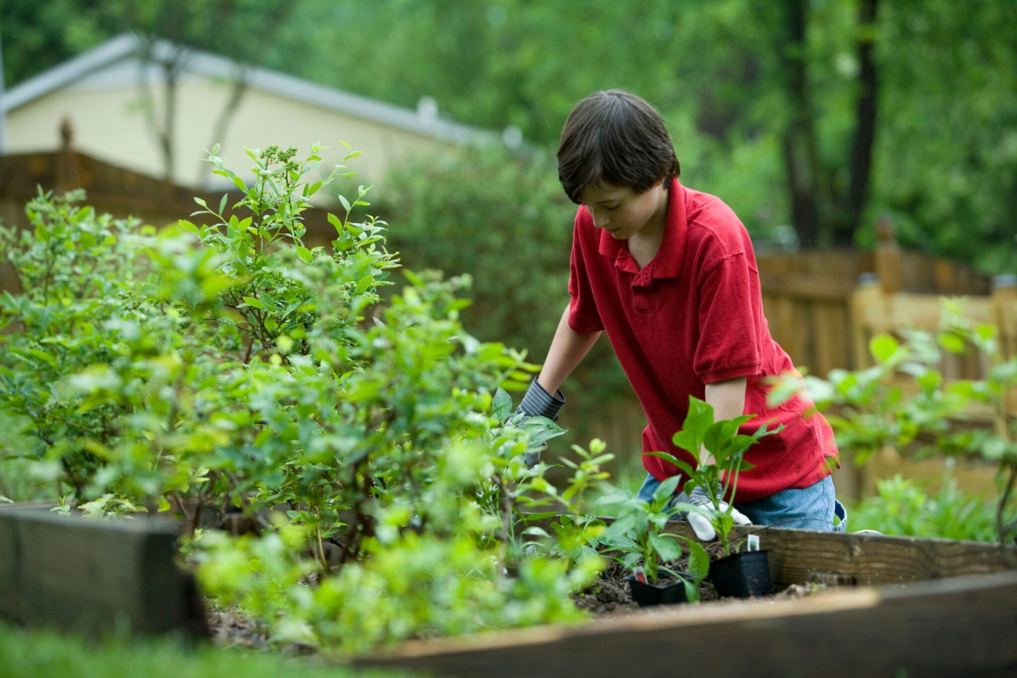 Downeast Family Garden Helper | The Community Caring Collaborative
